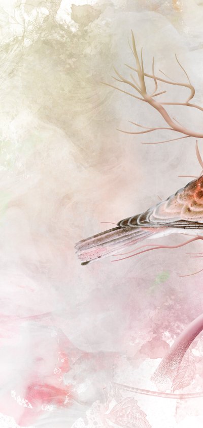 Rouwkaart bedankt tekening vogel op tak | Kaartje2go