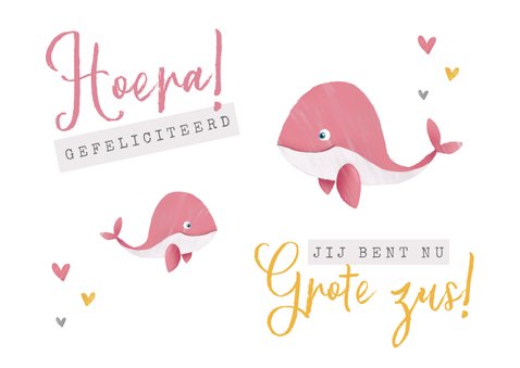 Felicitatiekaartje geboorte meisje zusje | Kaartje2go