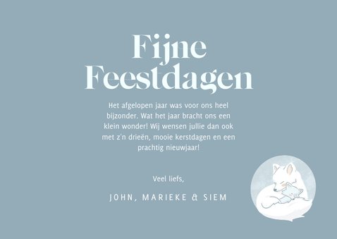 Schattige kerstkaart met poolvosje en baby in | Kaartje2go