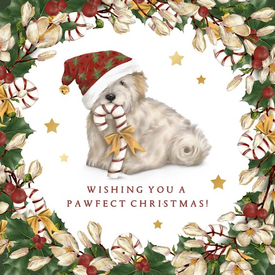 Kerstkaarten met dieren | Kaartje2go