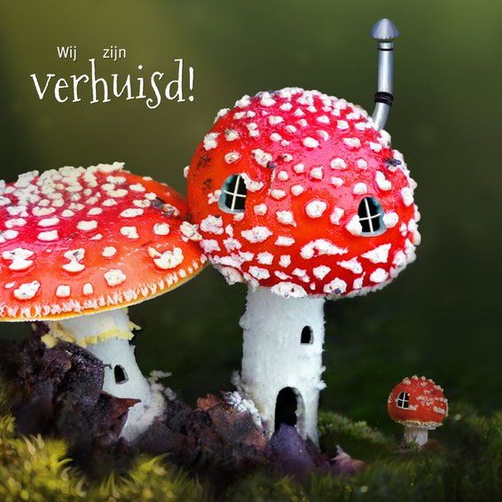 Verhuiskaarten: een leuk verhuisbericht voor elke verhuizing