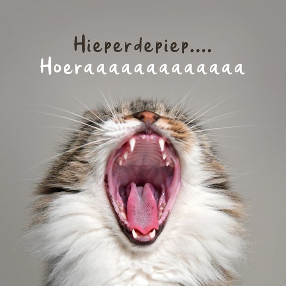 Verjaardagskaart man humor | Kaartje2go