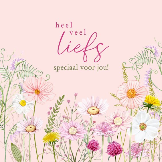 Wenskaart maken | Snel en simpel!