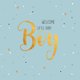 Welcome baby boy-gold felicitatie geboorte | Kaartje2go