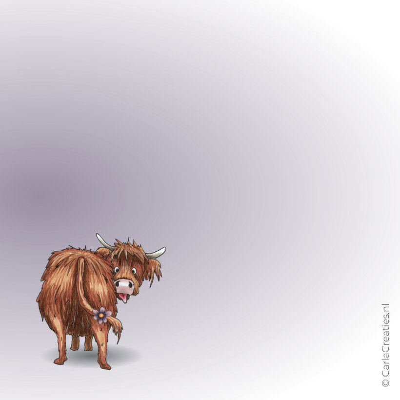 Bedankkaart'merci beau koe' hooglander | Kaartje2go