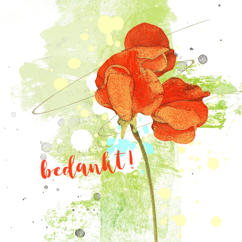 Bedankt oranje bloem - Bedankkaartjes | Kaartje2go