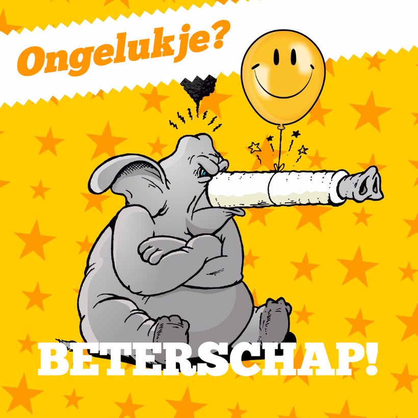 Beterschap- Olifant met gebroken slurf | Kaartje2go
