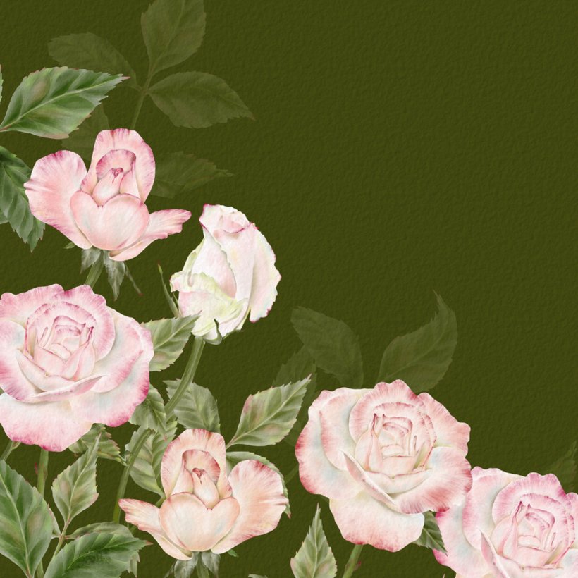 Bloemenkaart met roze-witte rozen - Wenskaarten | Kaartje2go