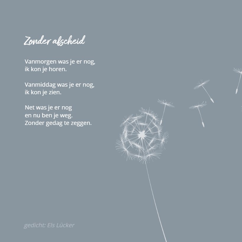 Condoleance paardenbloem en gedicht zonder | Kaartje2go