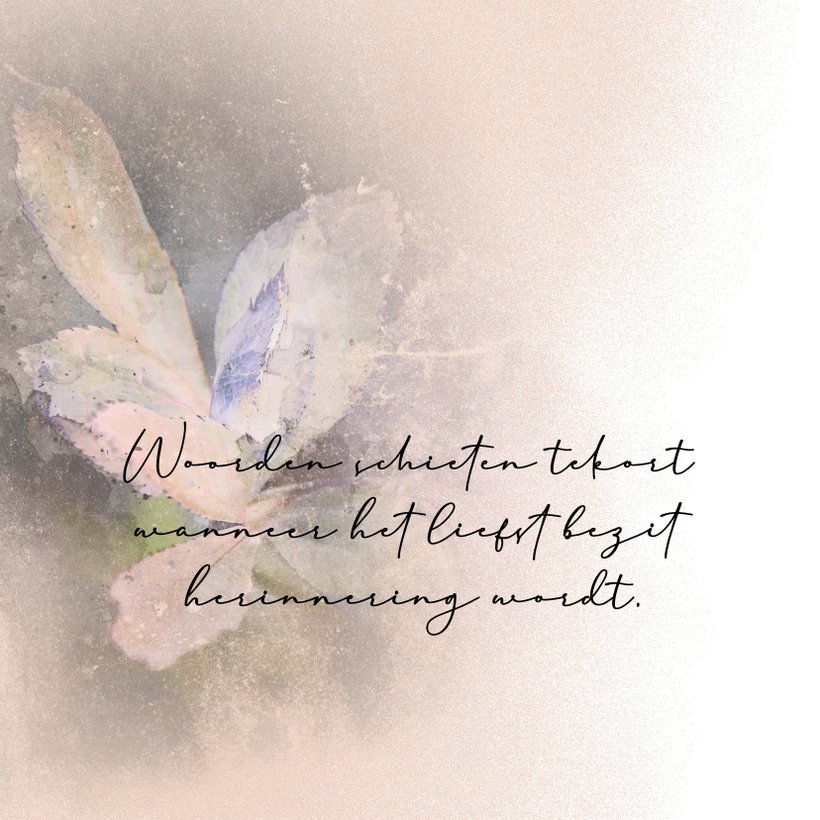 Condoleancekaart blad drama abstract | Kaartje2go