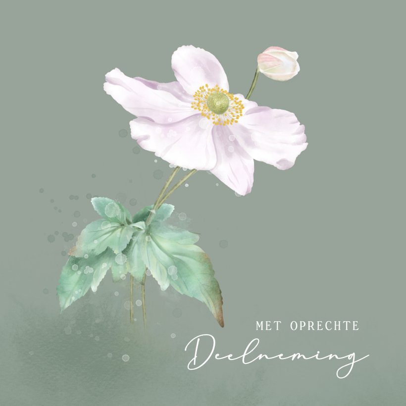 Condoleancekaart met herfstanemoon | Kaartje2go