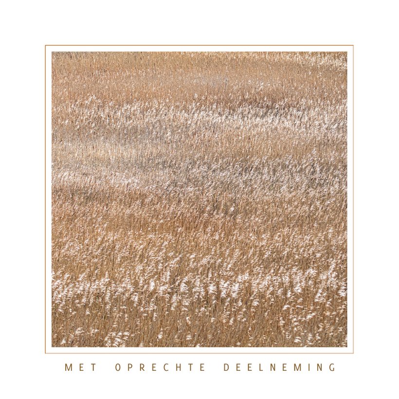 Condoleancekaart wuivend riet in de wind | Kaartje2go