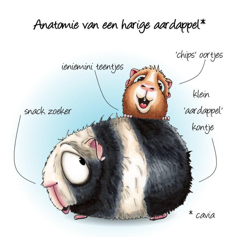 Dierenkaart Anatomie van een Cavia | Kaartje2go