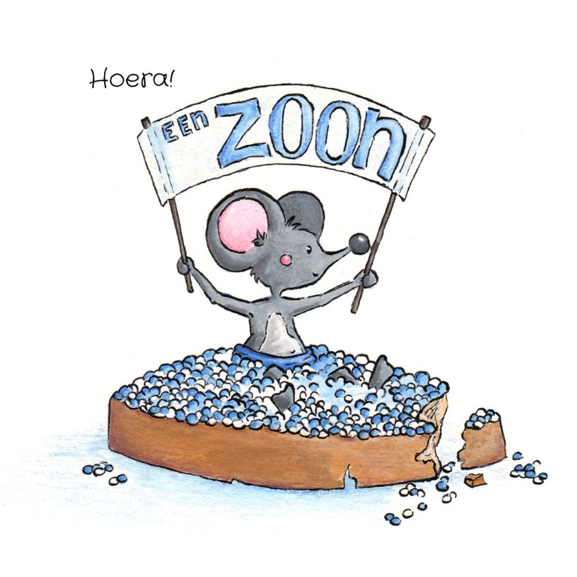 Felicitatie geboorte zoon met muisjes | Kaartje2go