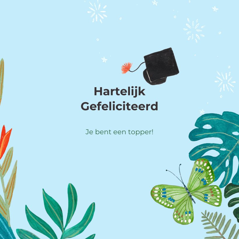 Felicitatie geslaagd ballonnen vlinders en | Kaartje2go