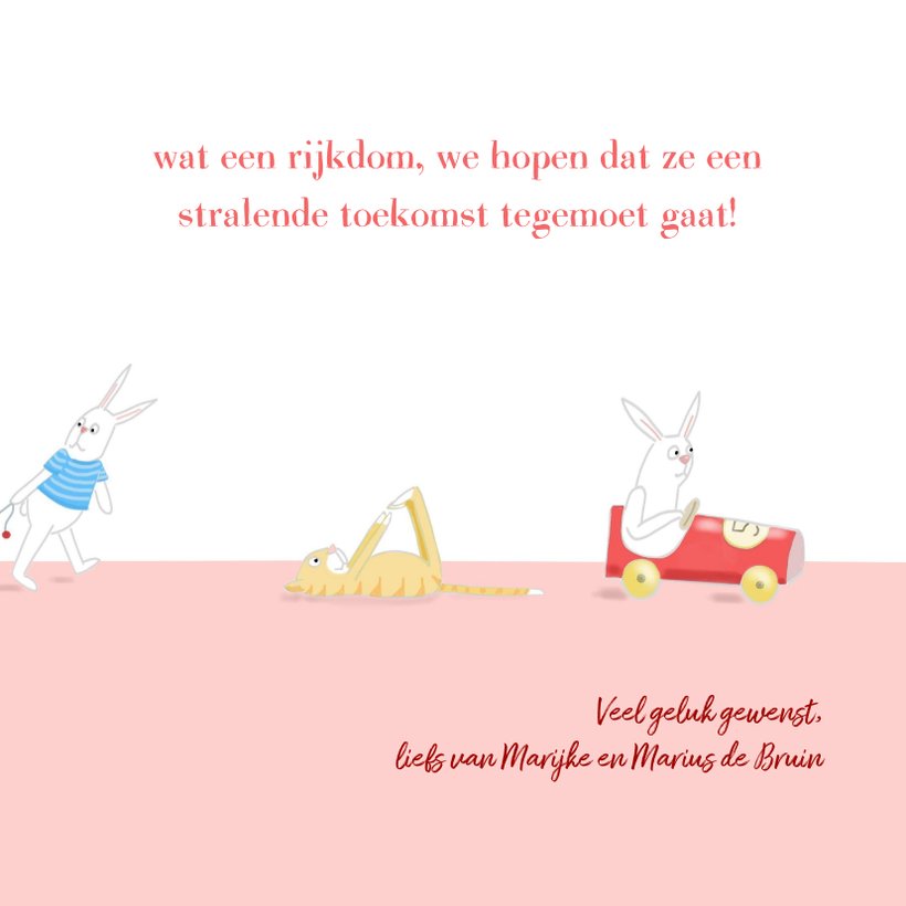 Felicitatie- klein meisje met konijntje | Kaartje2go