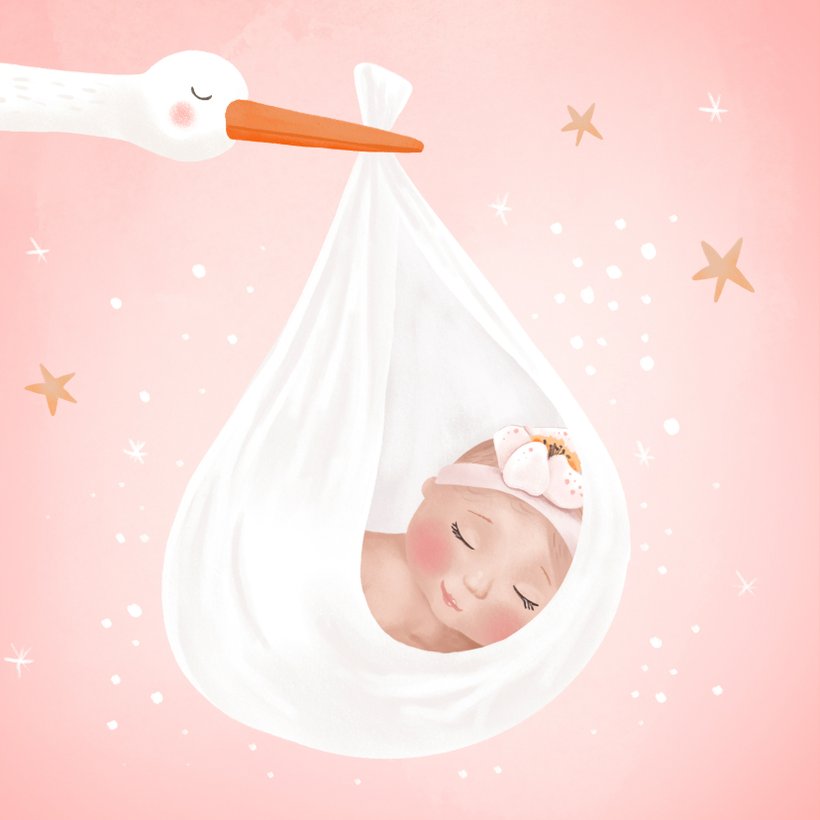 Felicitatiekaart geboorte dochter ooievaar met | Kaartje2go