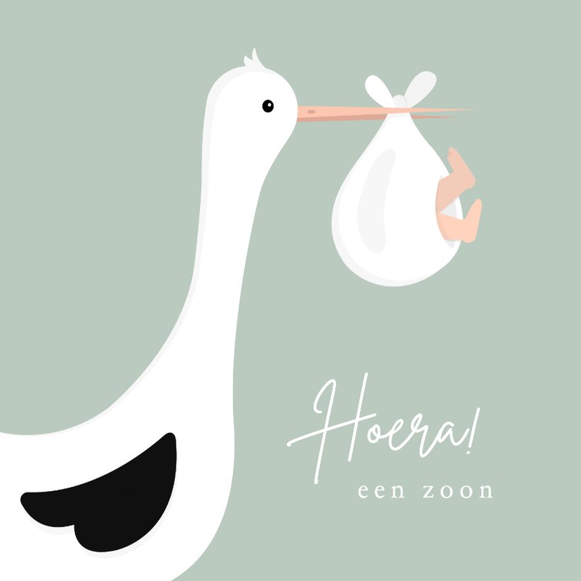 Felicitatiekaart geboorte jongen met ooievaar | Kaartje2go