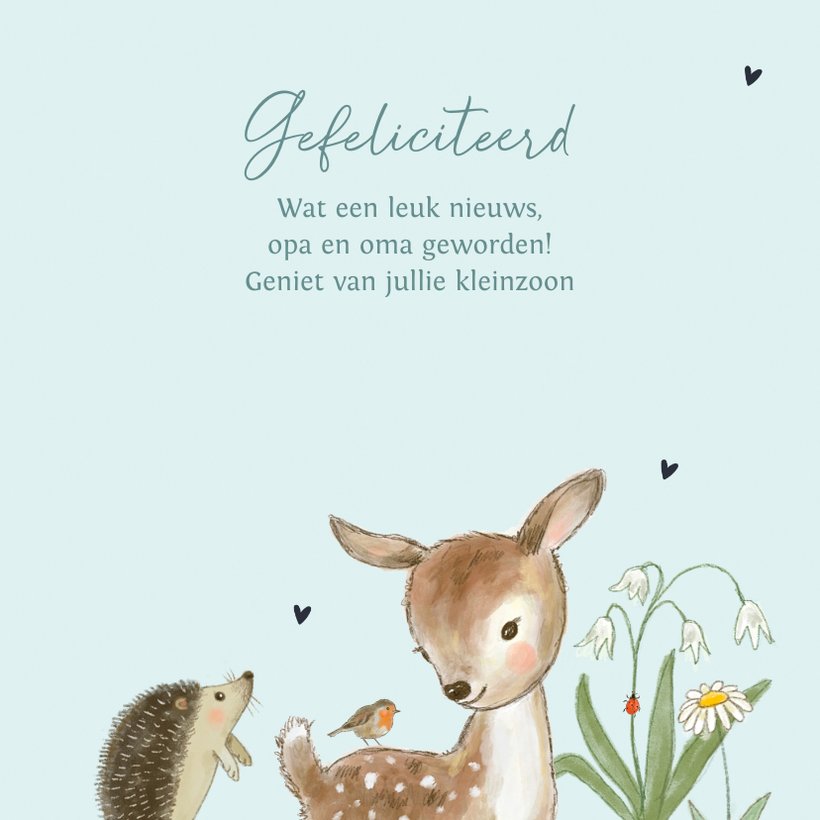 Felicitatiekaart geboorte- kleinzoon bosdieren | Kaartje2go