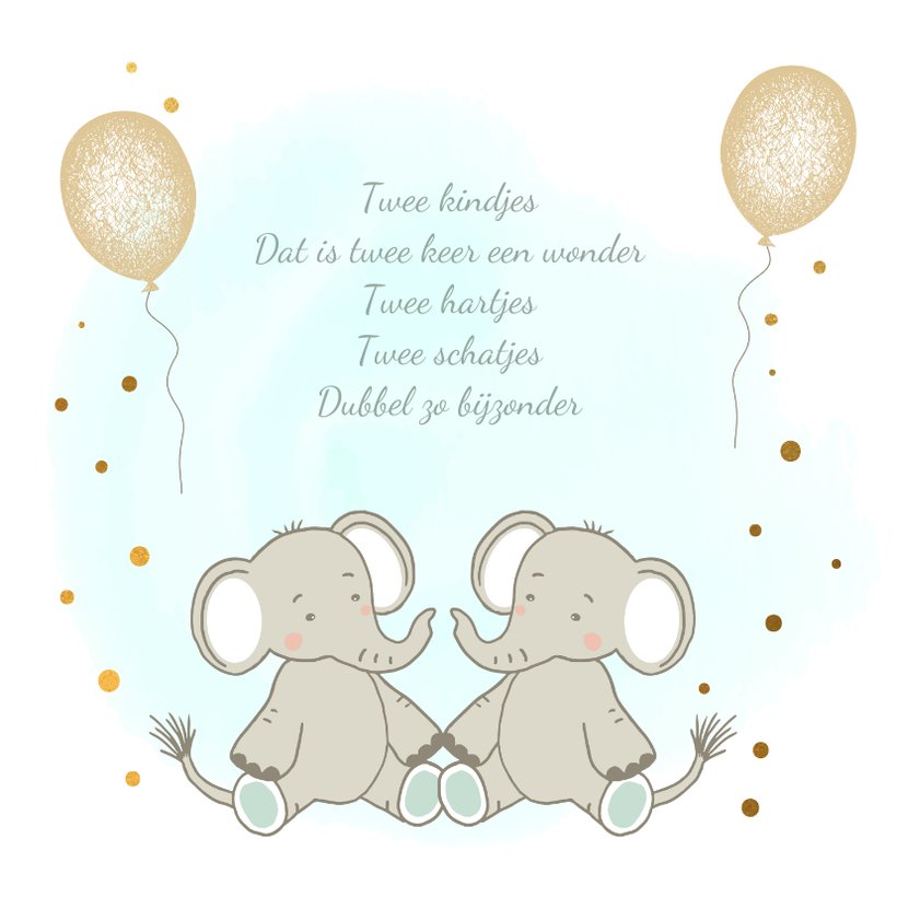 Felicitatiekaart geboorte- Olifantjes tweeling | Kaartje2go