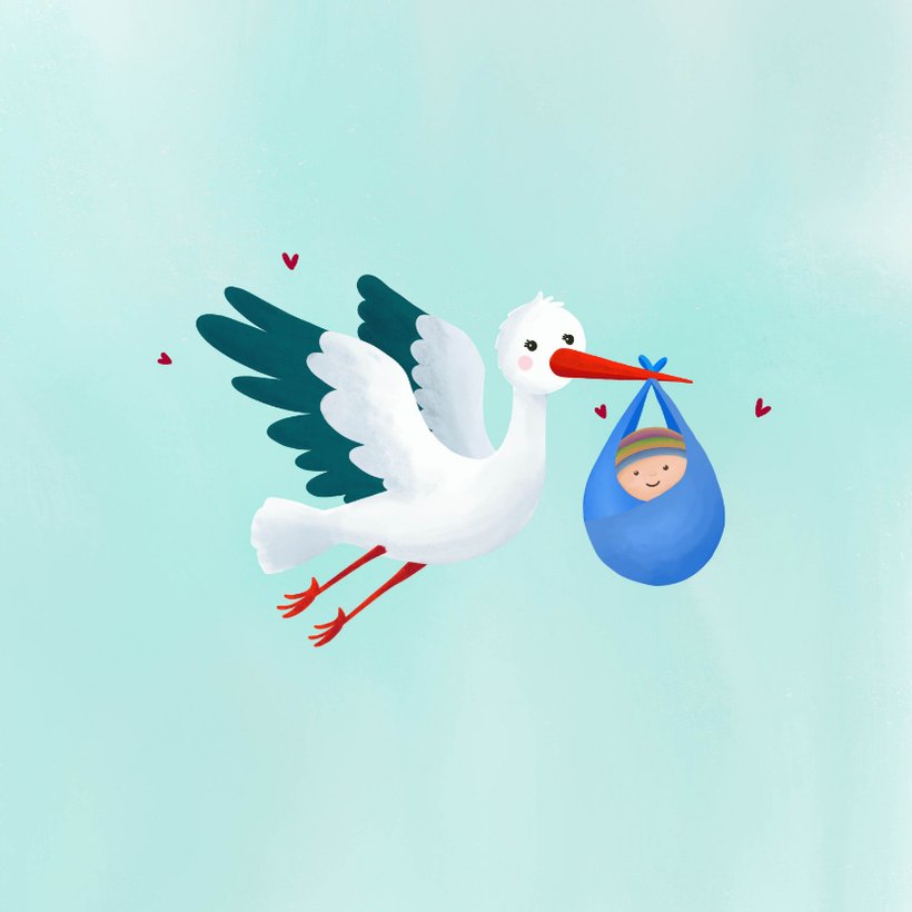 Felicitatiekaart met ooievaar en baby jongen | Kaartje2go