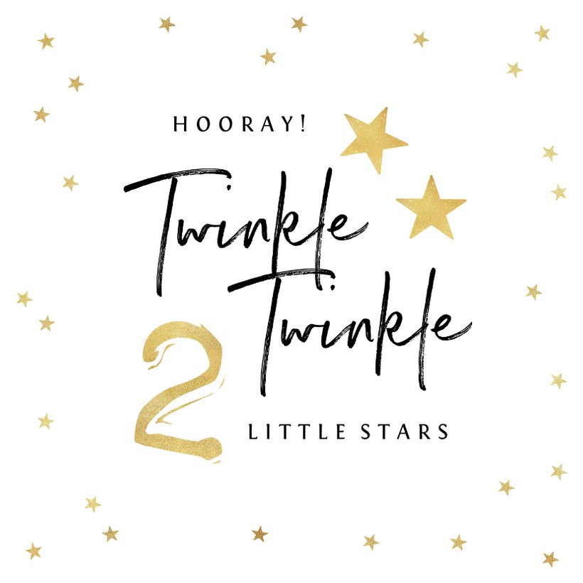 Felicitatiekaart zwanger tweeling twinkle | Kaartje2go