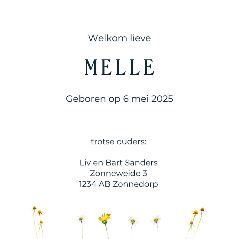 Geboortekaart ooievaar met lieve baby | Kaartje2go