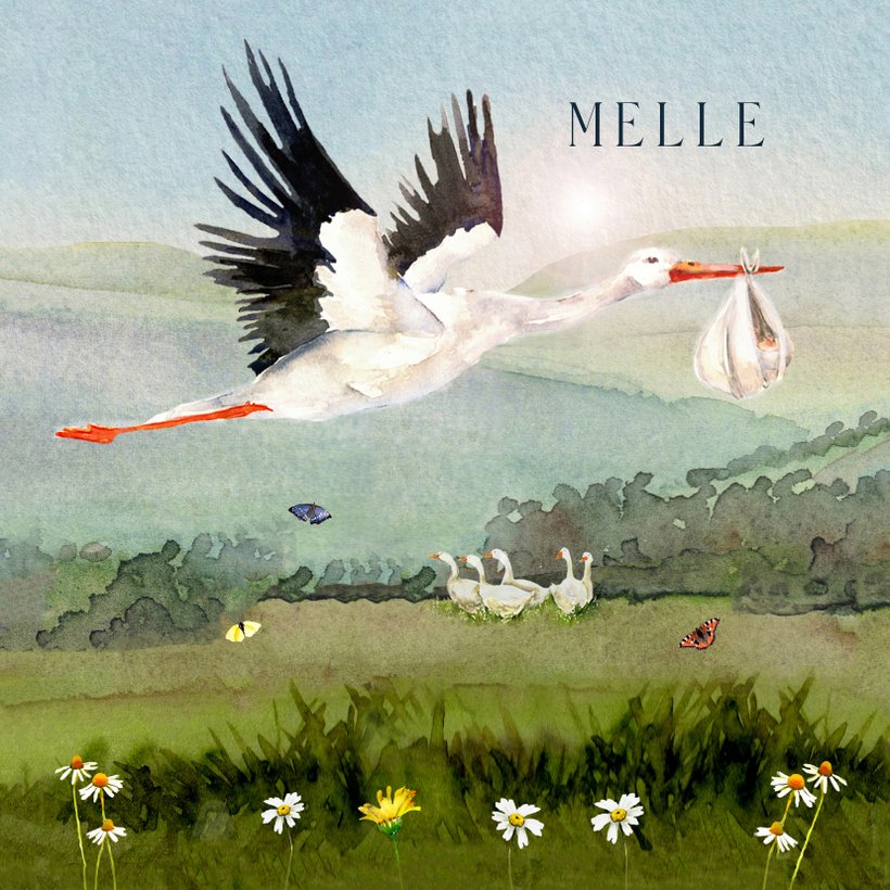 Geboortekaart ooievaar met lieve baby | Kaartje2go