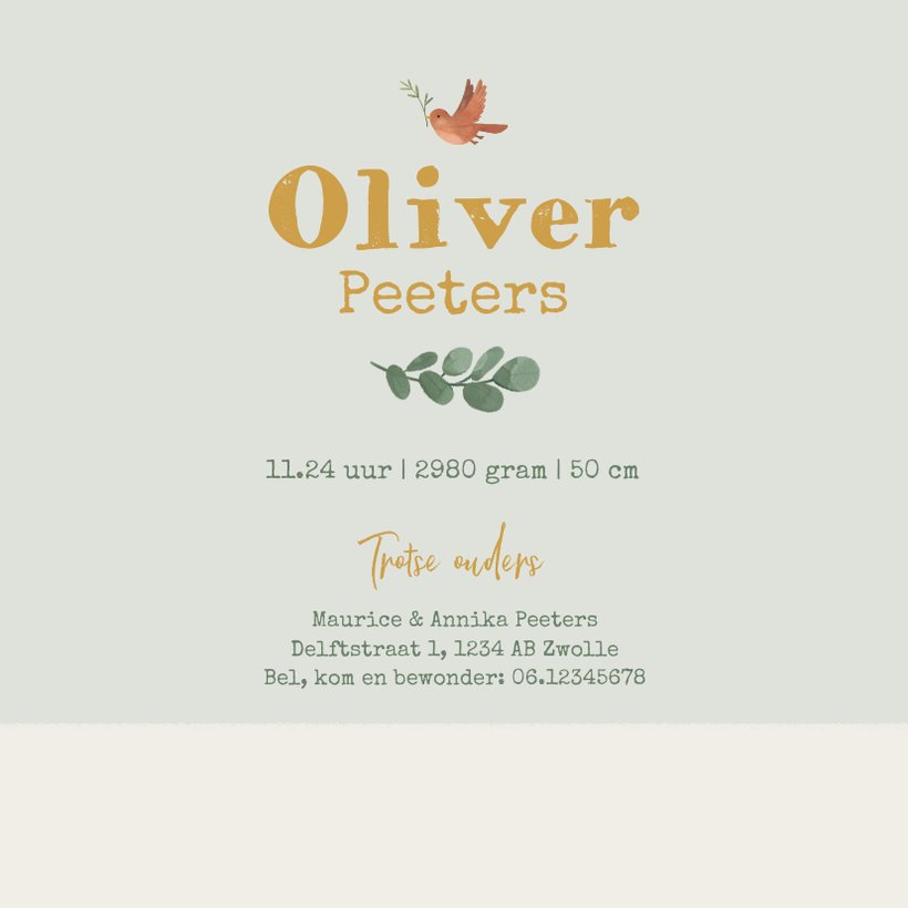 Geboortekaartje baby beertje origineel hartjes | Kaartje2go