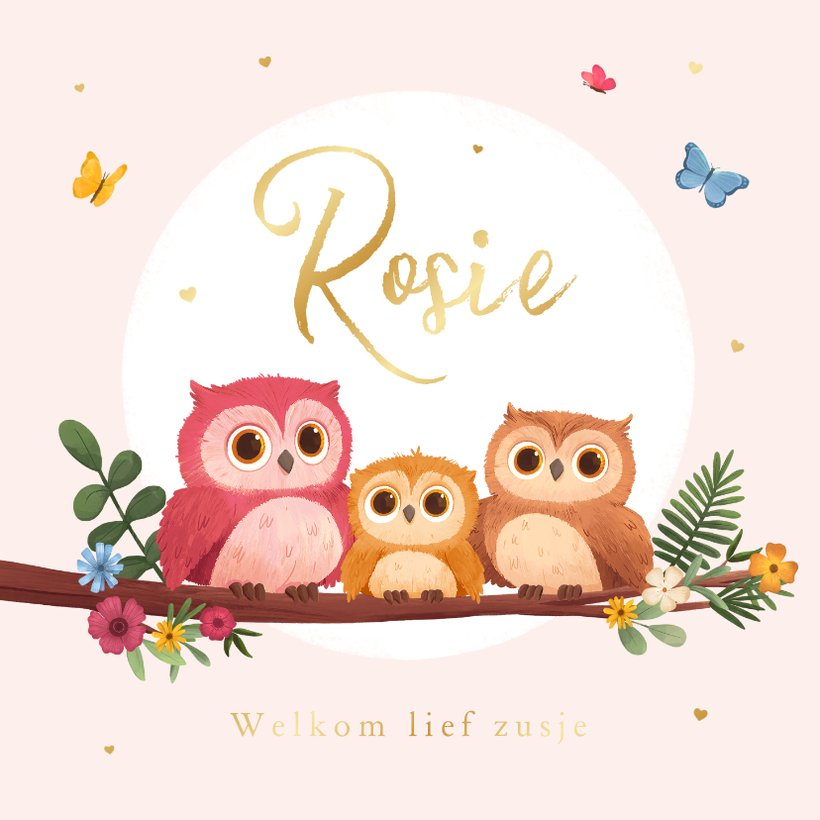 Geboortekaartje derde kindje uiltjes lief | Kaartje2go Geboortekaartje derde kindje uiltjes lief | Kaartje2go
