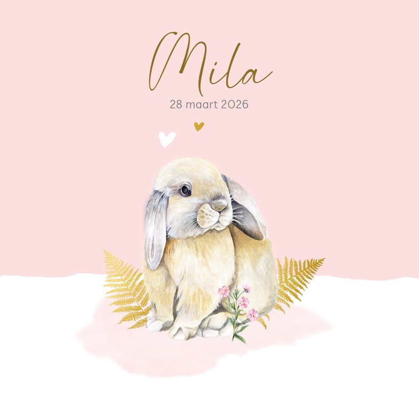 Geboortekaartje meisje konijn | Kaartje2go