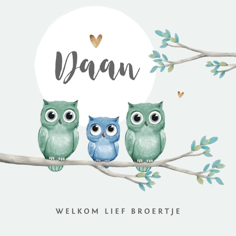 Geboortekaartje uiltjes derde kindje zon | Kaartje2go