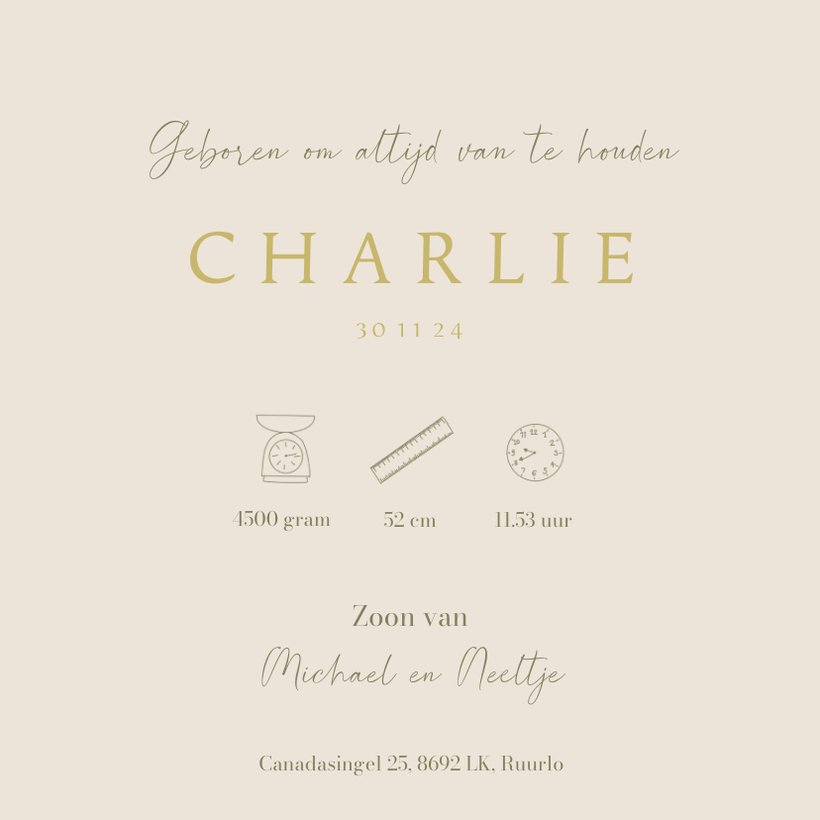 Geboortekaartje zoon met vosje, musje en | Kaartje2go