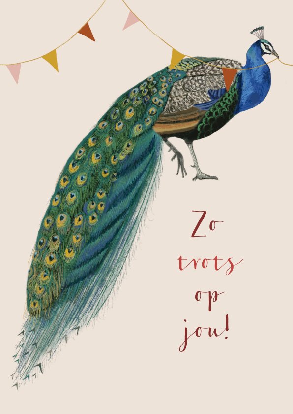 Geslaagd kaartje pauw met slingers | Kaartje2go