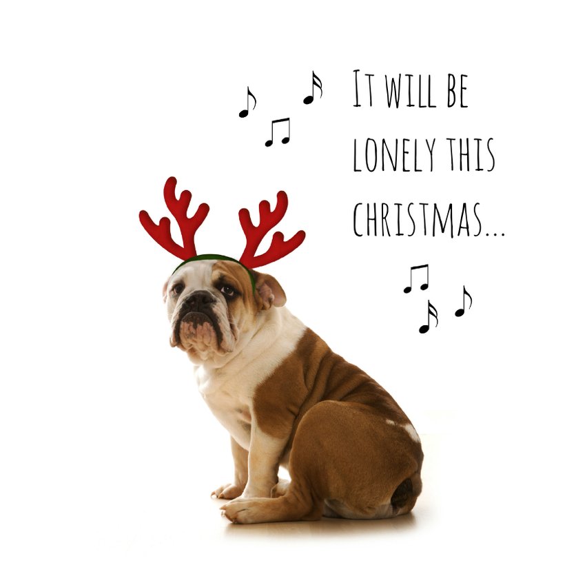 Grappige hond met gewei-isf - Kerstkaarten | Kaartje2go