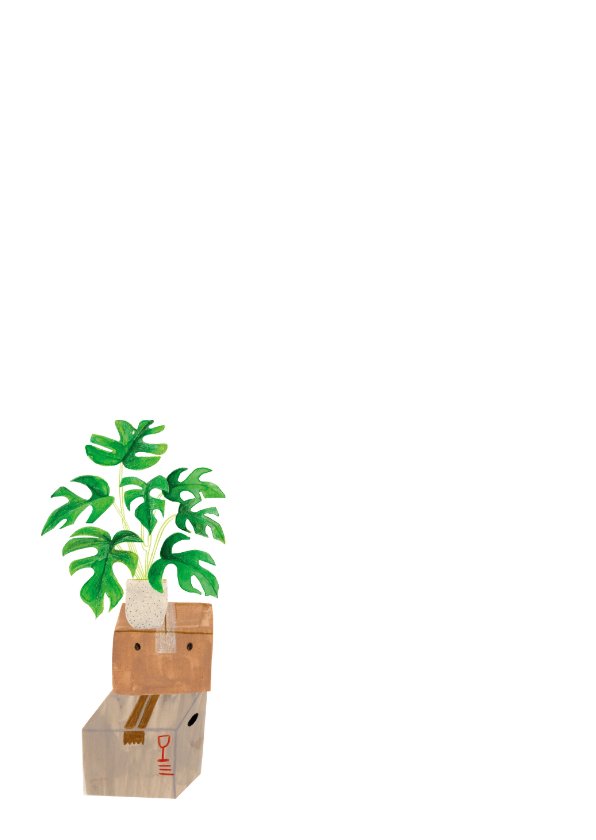 Hippe felicitatiekaart nieuw stekje met planten | Kaartje2go