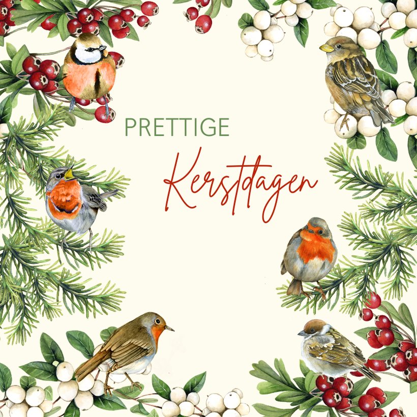 Kerst vogels takjes - Kerstkaarten | Kaartje2go