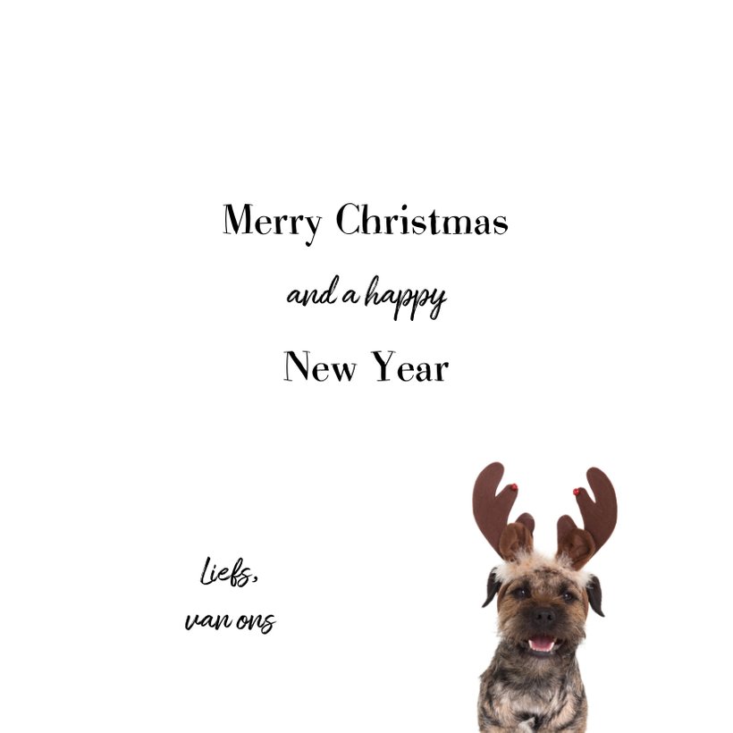 Kerstkaart hond Border Terrier met rendier | Kaartje2go