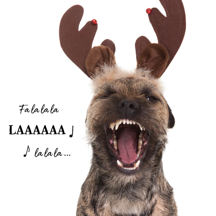 Kerstkaart hond Border Terrier met rendier | Kaartje2go