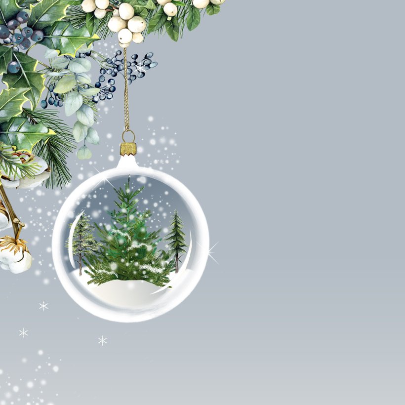 Kerstkaart kerstbal botanische takken | Kaartje2go