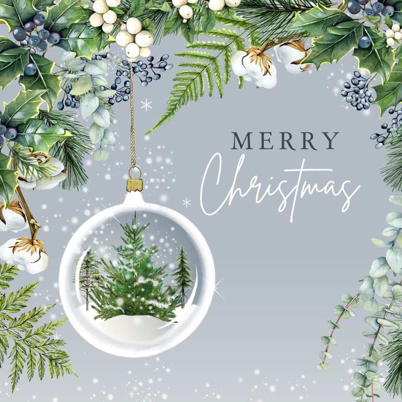 Kerstkaart kerstbal botanische takken | Kaartje2go