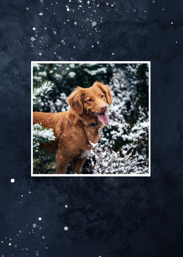 Kerstkaart met foto van hond en sneeuwvlokjes | Kaartje2go