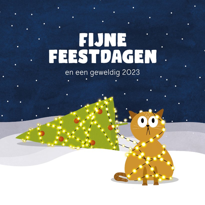 Kerstkaart met kat verstrikt in kerstlampjes | Kaartje2go
