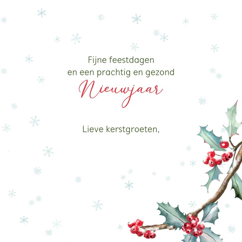 Kerstkaart roodborstjes op hulst rode bessen | Kaartje2go