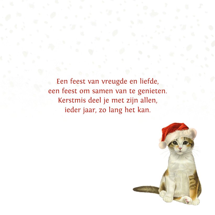 Kerstkaart schattige kat met kerstmuts | Kaartje2go