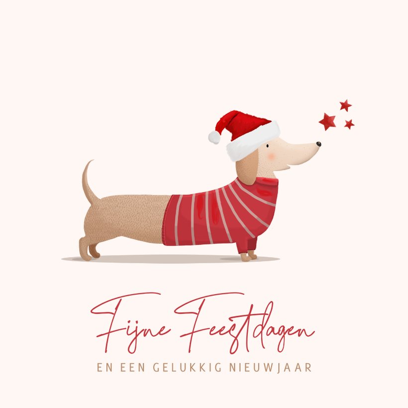 Kerstkaart teckel met kerstmuts - Kerstkaarten | Kaartje2go