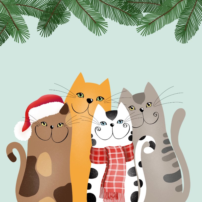 Kerstkaart zingende katten - Kerstkaarten | Kaartje2go