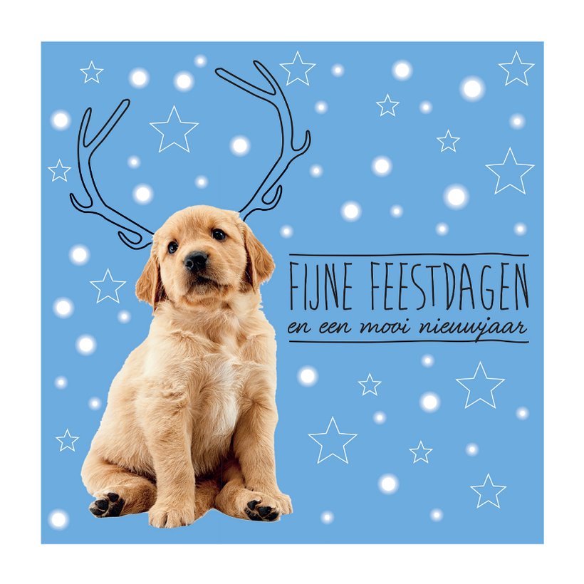 KNGF kerstkaart met puppy en gewei | Kaartje2go