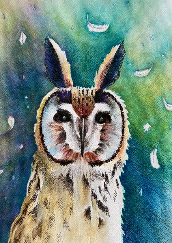 Kunstkaart van uil met lange oren - Wenskaarten | Kaartje2go