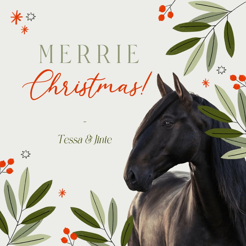Leuke kerstkaart merrie christmas met paard en | Kaartje2go
